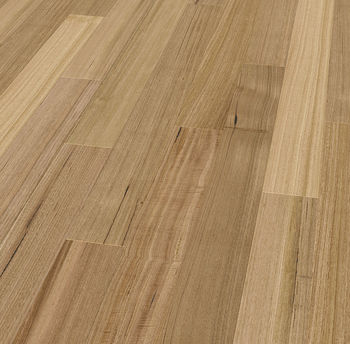 Tas Oak | Duy Tuan - DT Timber
